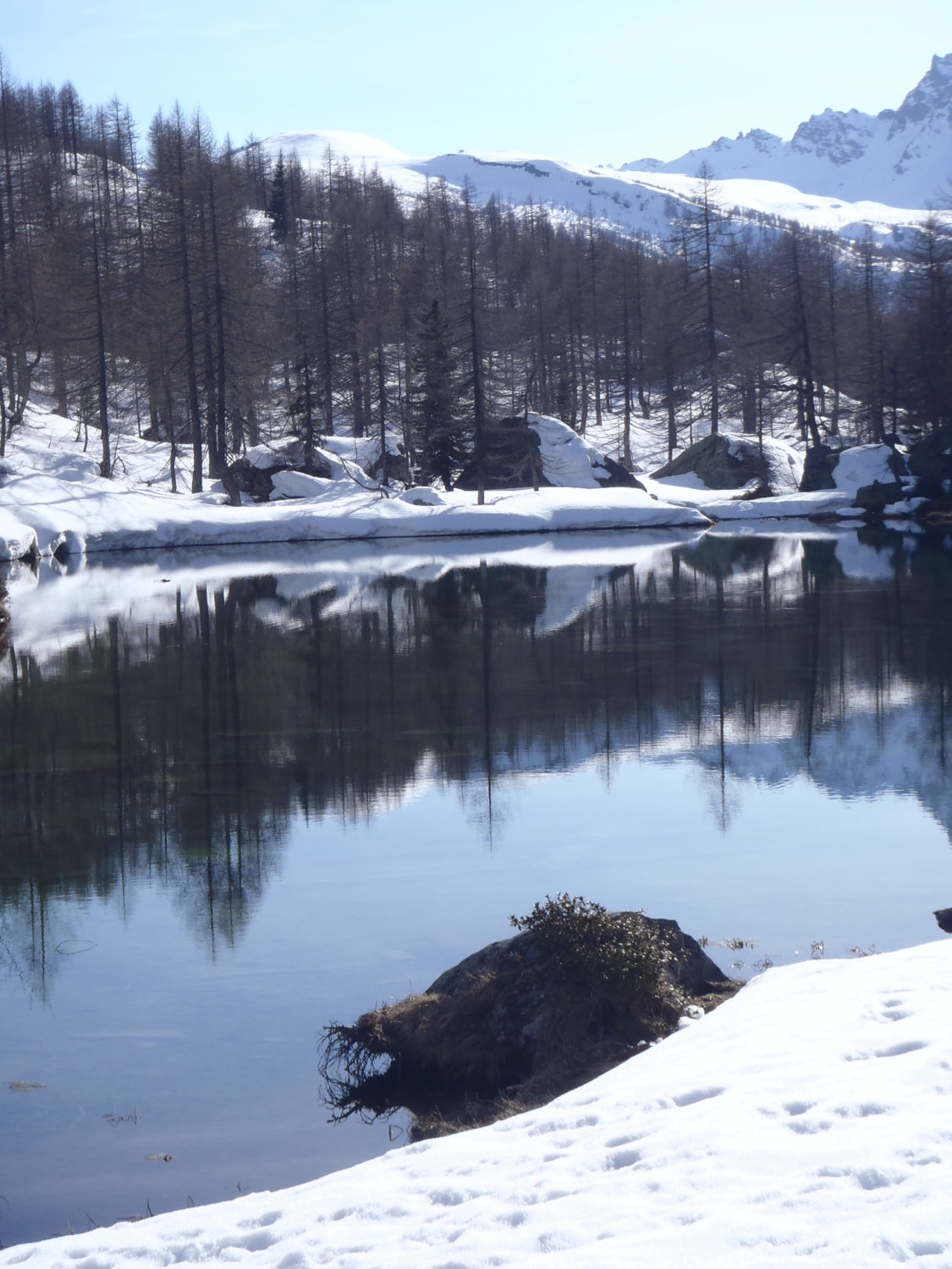 Landschaftspark Binntal - Alpin-Snowsportschule Ernen